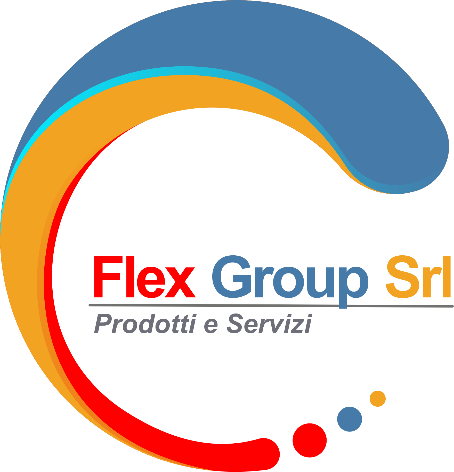Home Page - FLEX GROUP SRL